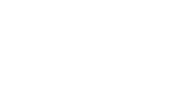 Kickstradomis Auction